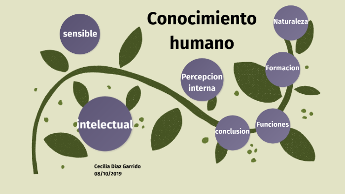 El conocimiento humano by Cecilia Diaz on Prezi