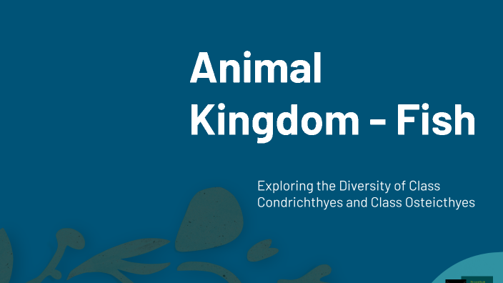 Animal Kingdom - Fish by Saugat Shahi on Prezi