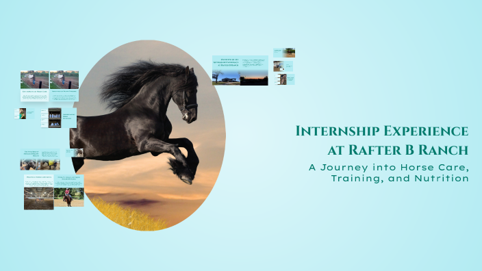 Internship Experience at Rafter B Ranch by Isabelle Evans on Prezi