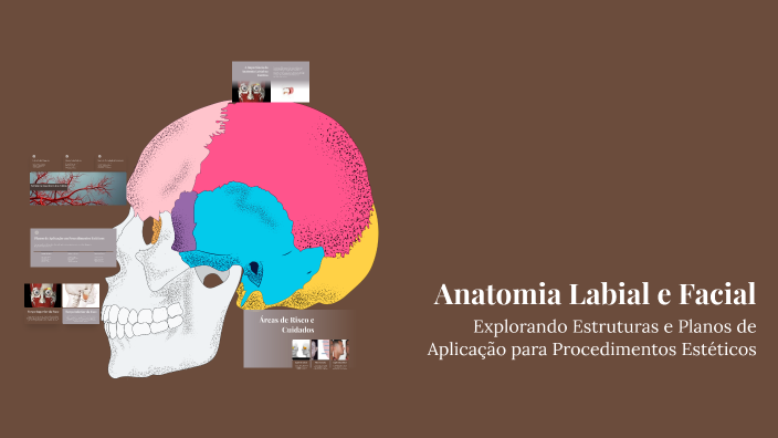 Anatomia Labial e Facial by Rafaela Reis on Prezi