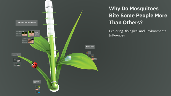 Why Do Mosquitoes Bite Some People More Than Others? by Олександр ...