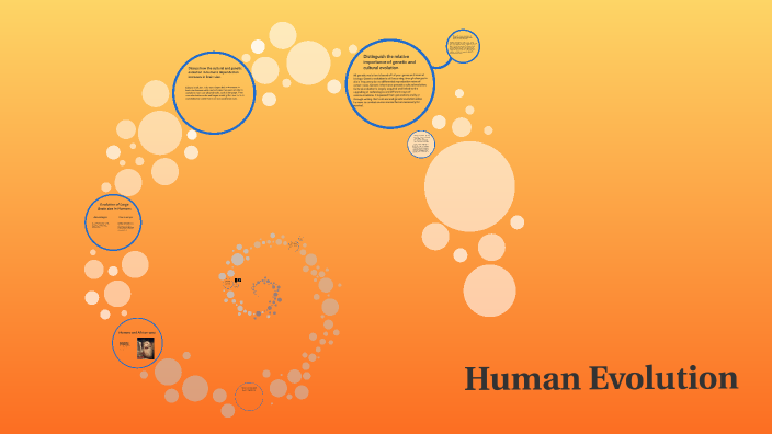 Human Evolution Activities by Natalie Pedrianes on Prezi