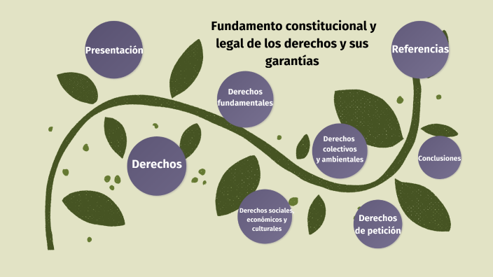 Fundamento constitucional y legal de los derechos y sus garantías by ...