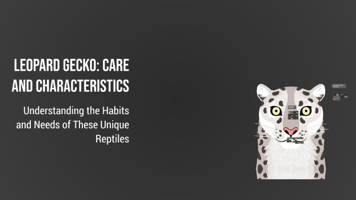 Leopard Gecko: Care and Characteristics by jeff wright on Prezi