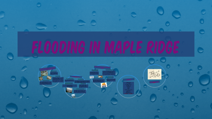 Flooding in Maple Ridge by emma dyer on Prezi