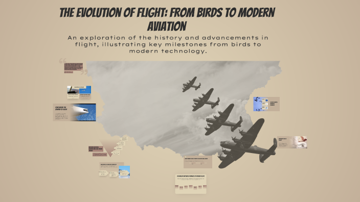 The Evolution of Flight: From Birds to Modern Aviation by Matthew Udkow ...