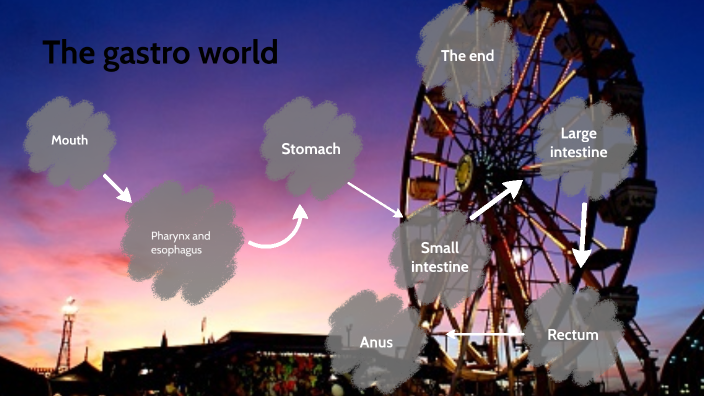 The gastro world by Maria perez