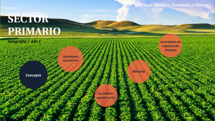 Sector Primario by Agustina . on Prezi