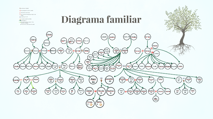 Diagrama familiar by Nicole Campos on Prezi