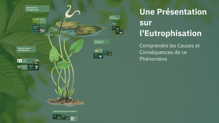 Une Présentation sur l'Eutrophisation by omayma solo on Prezi