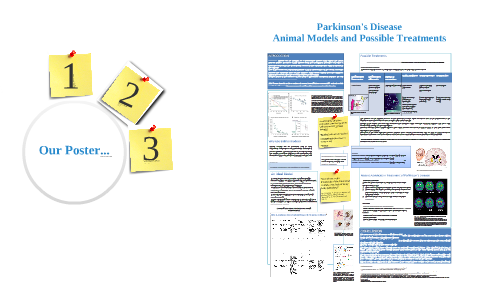 PD animal models and possible treatments by Carolina Lourenço
