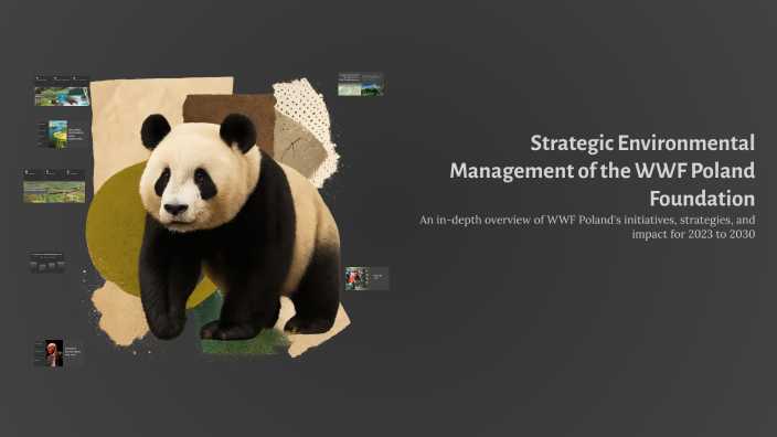 Strategic Environmental Management of the WWF Poland Foundation by ...