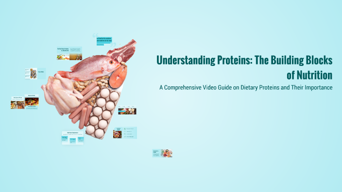 Understanding Proteins: The Building Blocks of Nutrition by Jaylin ...
