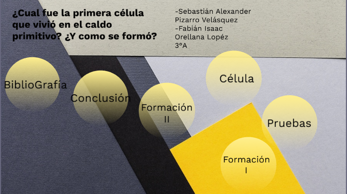 ¿Cual fue la primera célula que vivió en el caldo primitivo? ¿Y como se ...