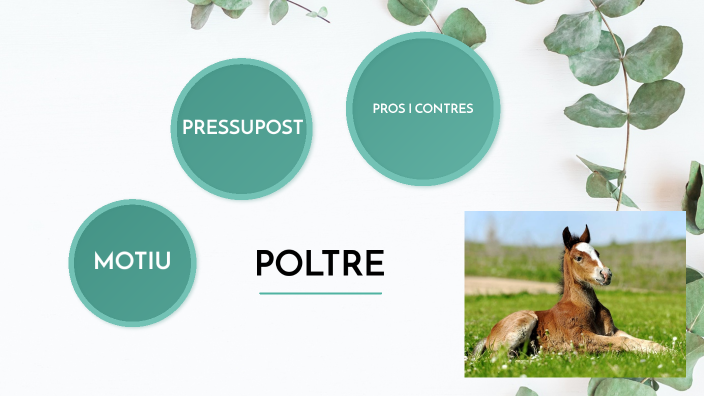 poltre by Berta Grifoll on Prezi