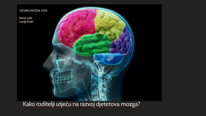 tjedan mozga by Lucija Fusić on Prezi