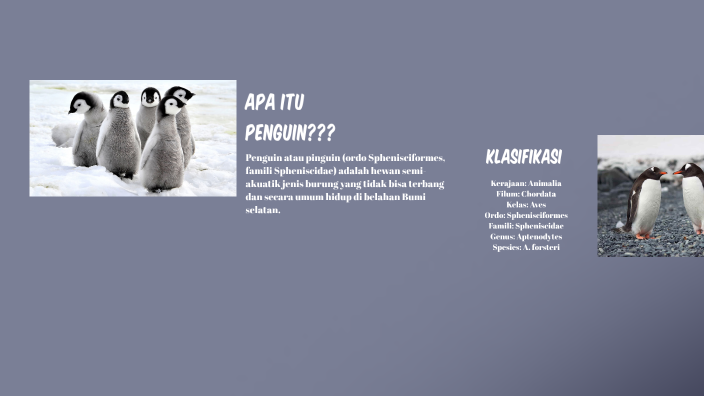 picuu by Angel Lita on Prezi