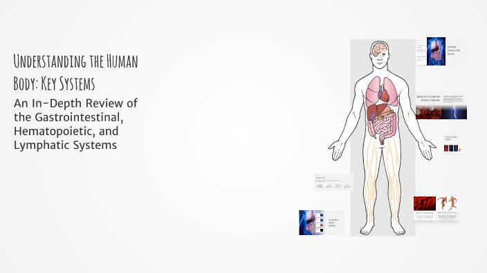 Understanding the Human Body: Key Systems by Christina Stevens on Prezi