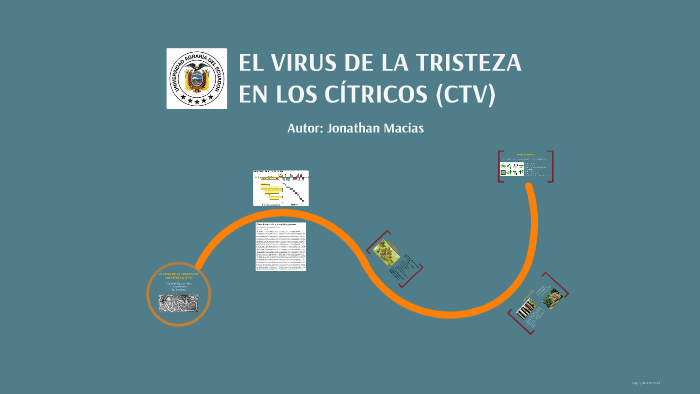 Virus de la tristeza de los citricos by Yoyis Power on Prezi