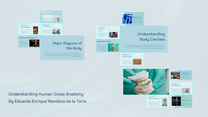 Understanding Human Gross Anatomy by Eduardo Enrique Mendoza on Prezi