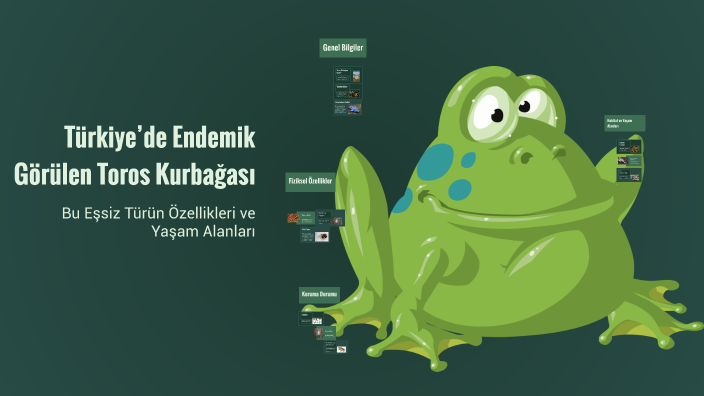 Türkiye’de Endemik Görülen Toros Kurbağası by Melisa Çetin on Prezi