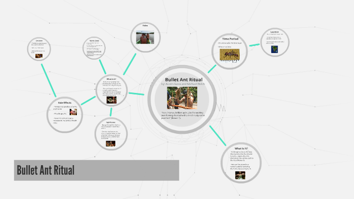 Bullet Ant Ritual by Austin Galea on Prezi