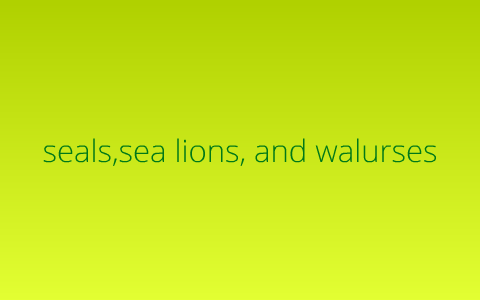 seals, sea lions, and walruses by hunter coombs on Prezi