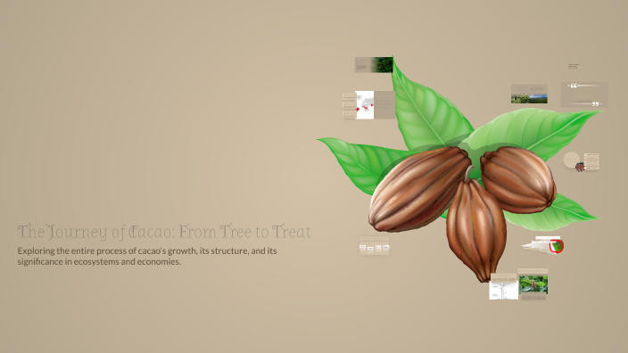 The Journey of Cacao: From Tree to Treat by Rhys Petersberger on Prezi