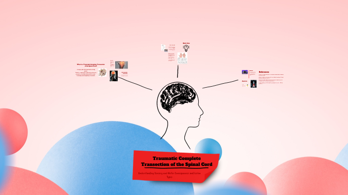 Traumatic Complete Transection of the Spinal Cord by Caitlin Adams ...