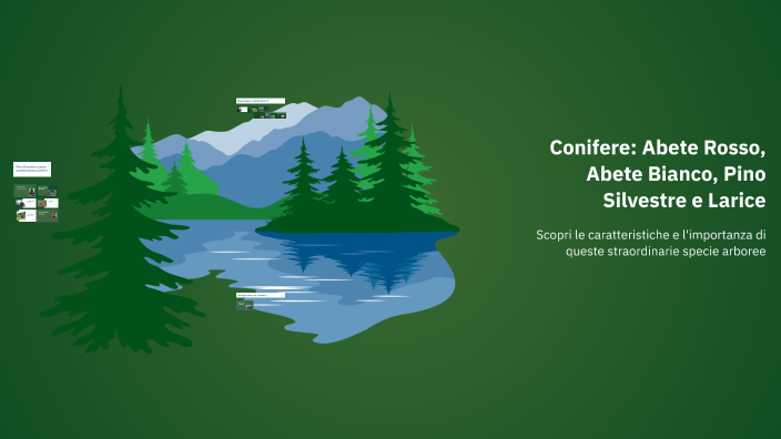 Conifere: Abete Rosso, Abete Bianco, Pino Silvestre e Larice by EDOARDO ...