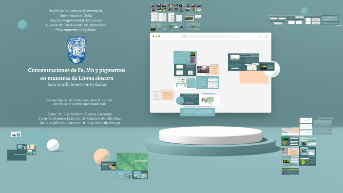Concentraciones de Fe, Mn y pigmentos en muestras de Lemna obscura by ...