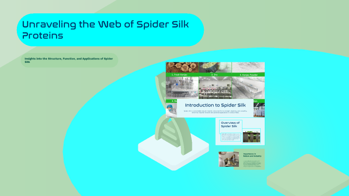 Unraveling the Web of Spider Silk Proteins by EVIE WILD on Prezi