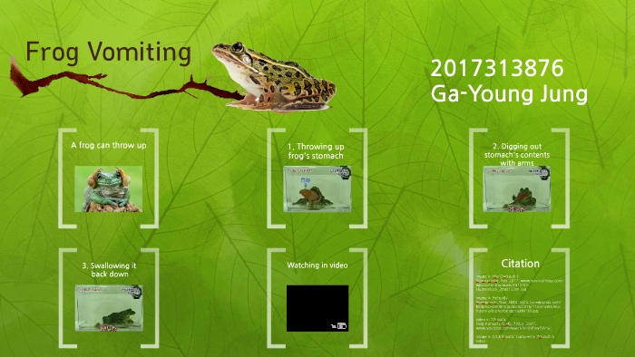 Frog Vomiting by 가영 정 on Prezi