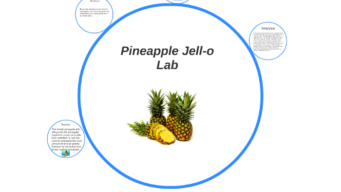Pineapple Jell-o Lab by ben suminski on Prezi