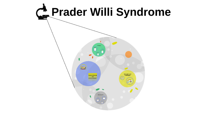 Prader Willi Syndrome - Mariam Elkeraby by mariam el keraby on Prezi