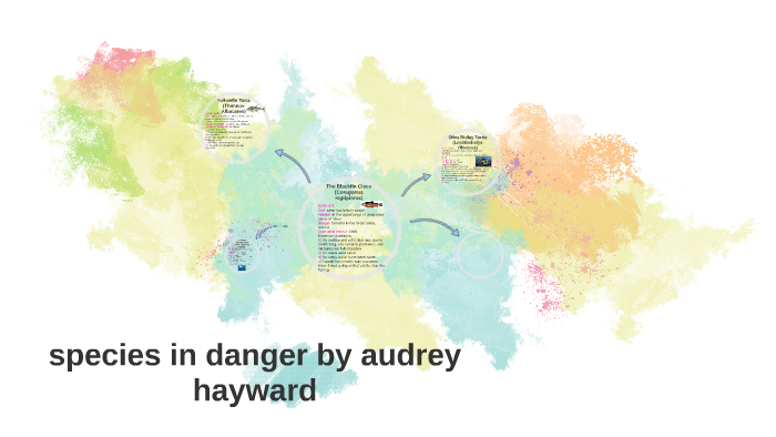 SPecies in danger by audrey hayward on Prezi