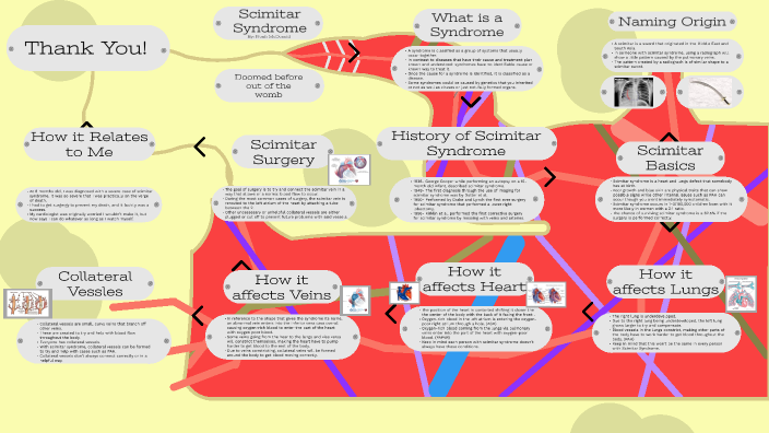 Health Project: Scimitar Syndrome by Noah McDonald on Prezi