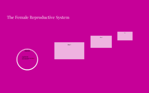 The Female Reproductive System by Morgan Nock on Prezi