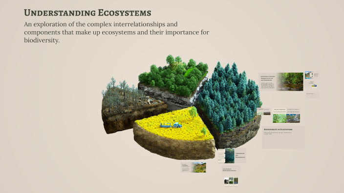 Understanding Ecosystems by ليان محمد القحطاني on Prezi
