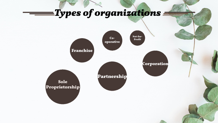 types of organizations by matt moodie on Prezi