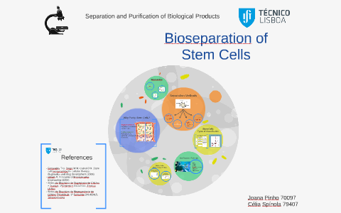 Bioseparation of Stem Cells by Célia Spínola on Prezi