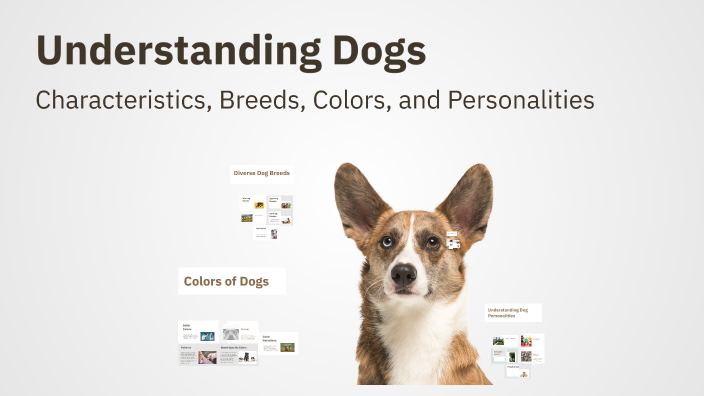 Understanding Dogs by ชุติกาญจน์ ขุนจันทร์ on Prezi