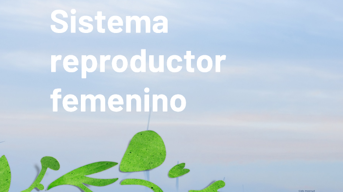 Sistema Reproductor Femenino by SUSAN LEYVA on Prezi