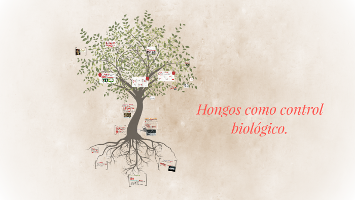 Hongos como control biológico. by Francisco Avendaño on Prezi