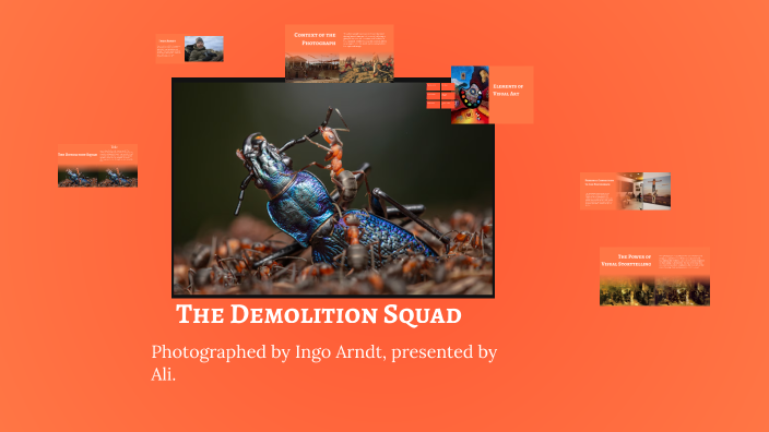 Analyzing Visual Elements in Photography by ali q on Prezi