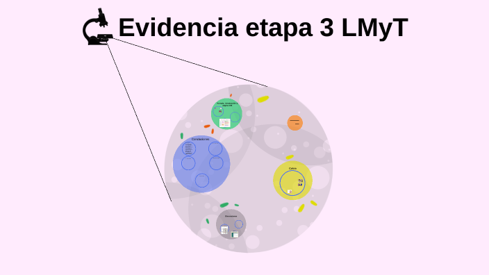 Evidencia etapa 3 LMyT by Ana Victoria Ponce De León on Prezi