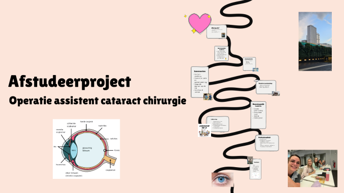 Afstudeerproject Operatie assistent Cataract chirurgie 1 by Wendy van ...