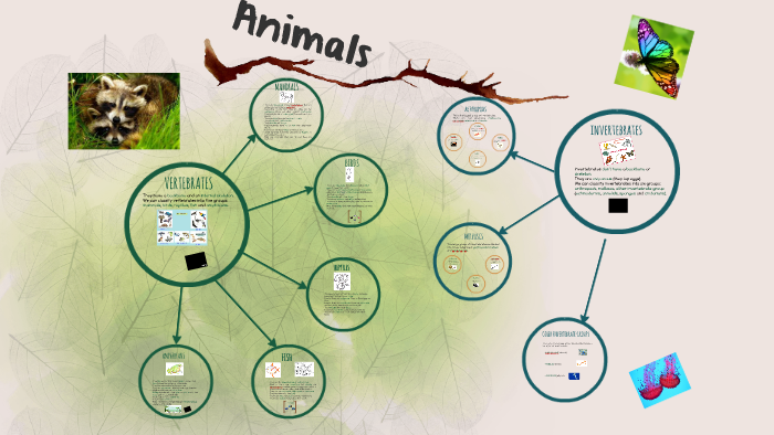 Animal Kingdom (Unit 1) by ELENA LÓPEZ HERRERA on Prezi