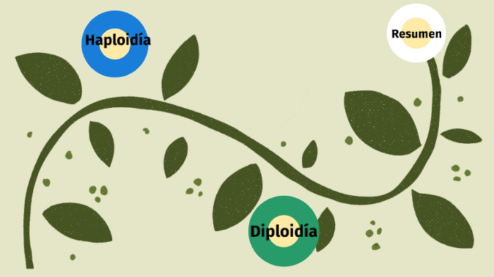 Haploidía y Diploidía by Juan David Laguna on Prezi