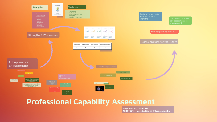 Professional Capability Assessment by Freya Radoczy on Prezi